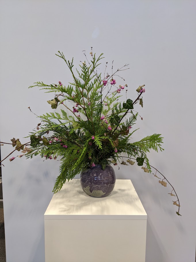 Spotlight On: Pink Snowberry, Symphoricarpos x doorenbosii Marleen and ...